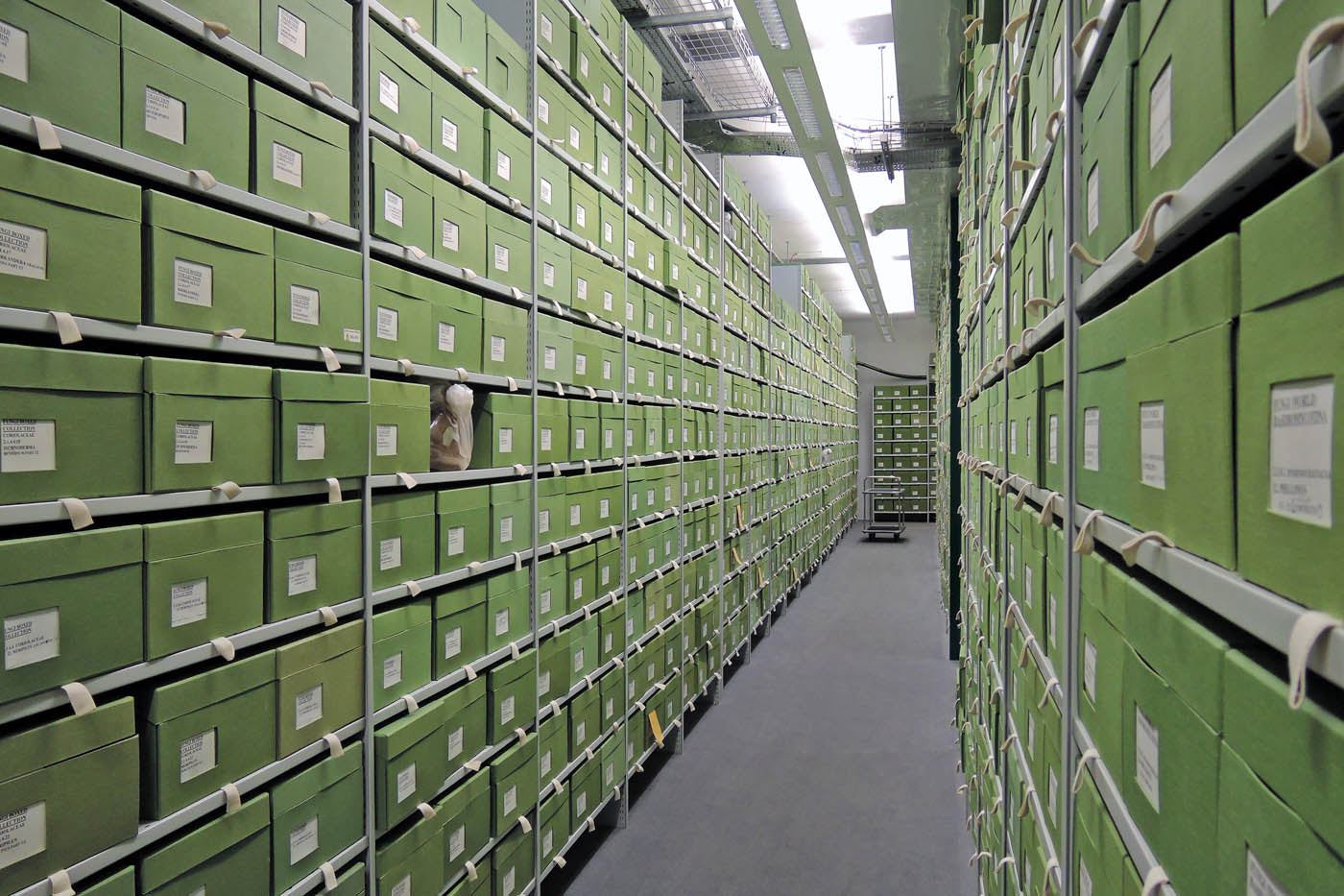 Kew's Fungarium: The World's Largest Collection of Fungi
