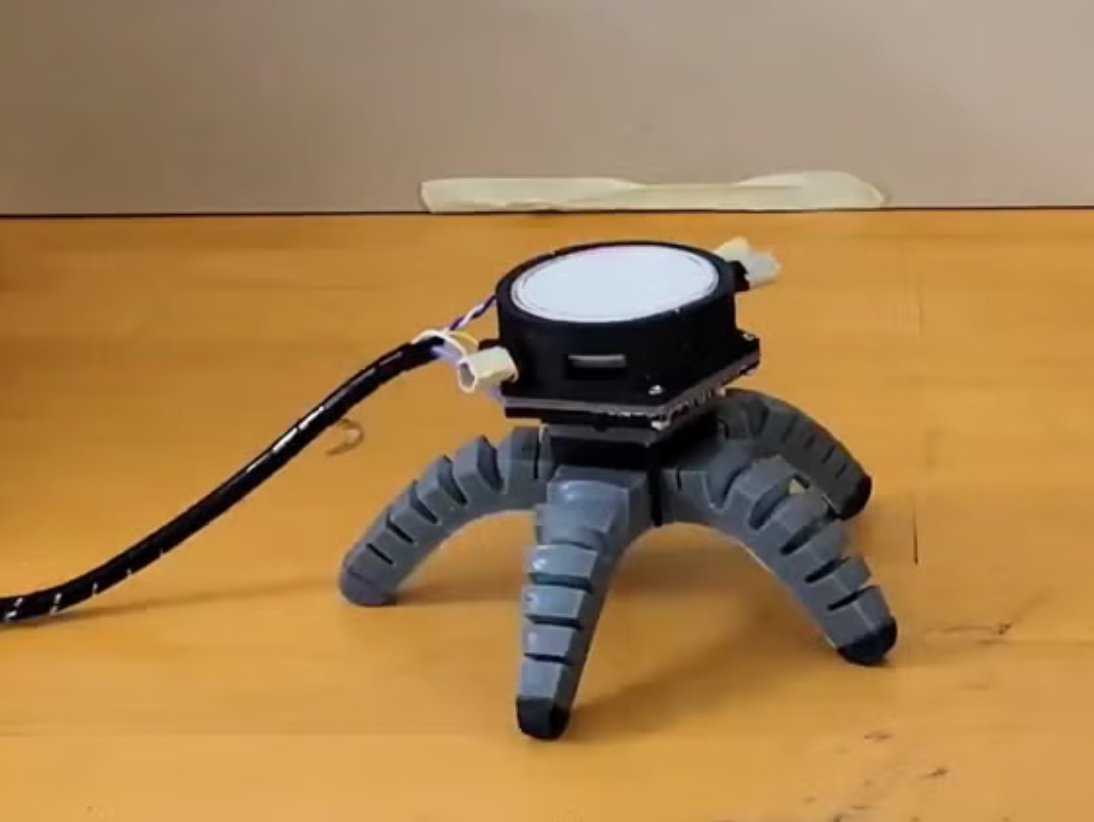 Mushroom Robots with Organic Robotics Lab