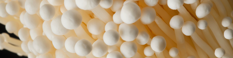The Nutritious and Delicious Benefits of Enoki Mushrooms