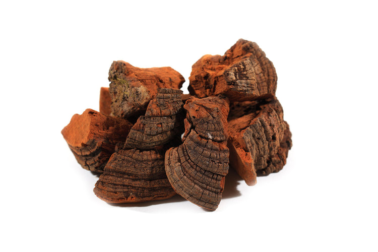 The Health Benefits of Meshima Mushrooms