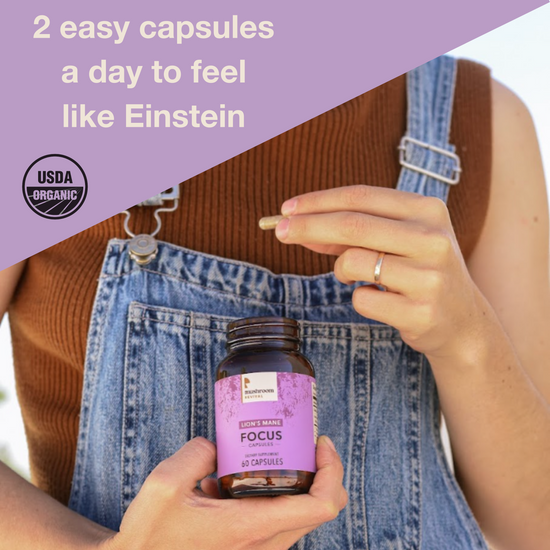 Best Focus Lion's Mane Capsules // Mushroom Revival™