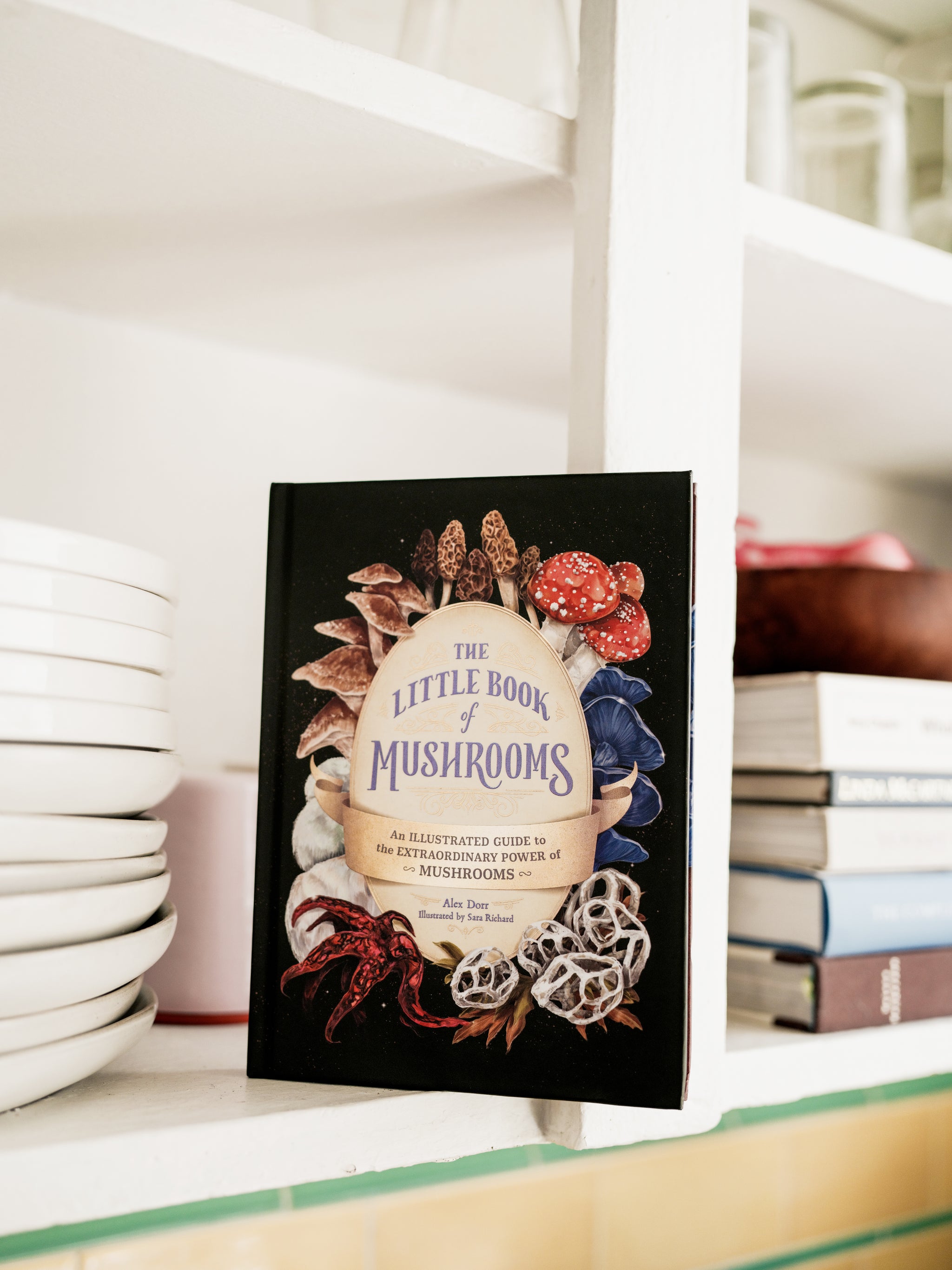 The Little Book of Mushrooms: Illustrated Extraordinary Guide