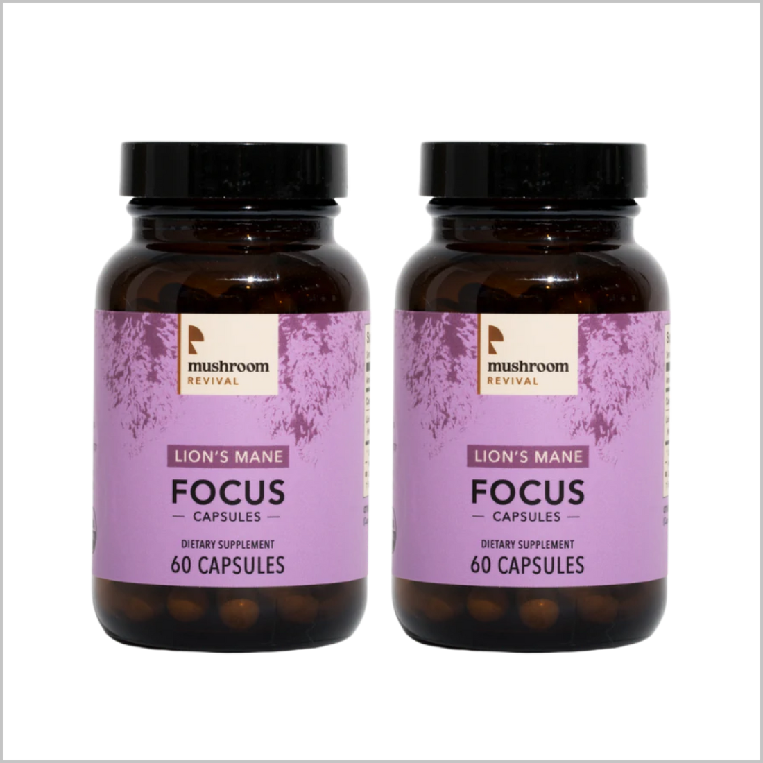 Best Focus Lion's Mane Capsules // Mushroom Revival™